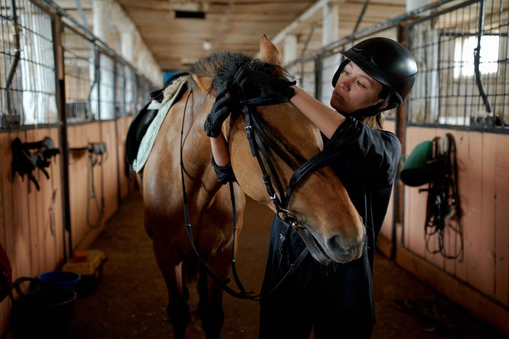 A Horse Farm: Steps to Take Before You Start | Grandmaster